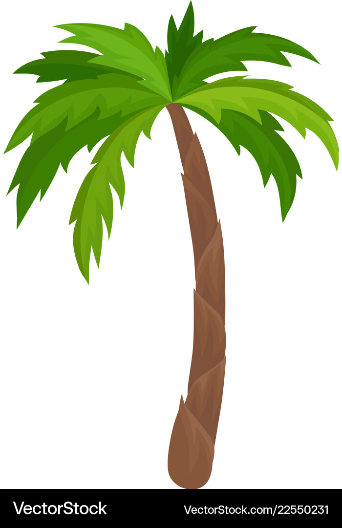Palm tree with bright green leaves plant Vector Image