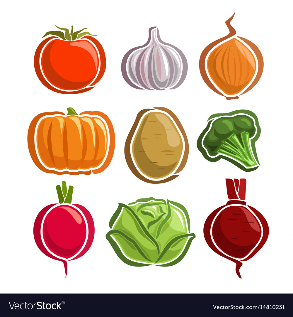 Set vegetables Royalty Free Vector Image - VectorStock
