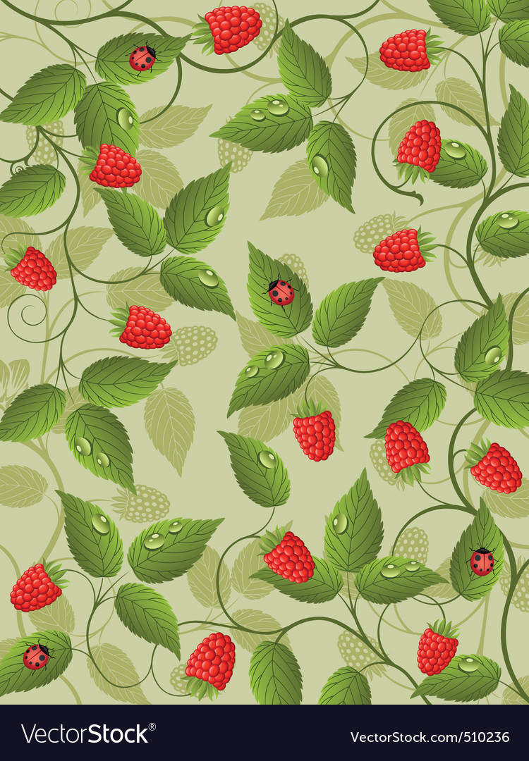 Raspberry Royalty Free Vector Image - VectorStock