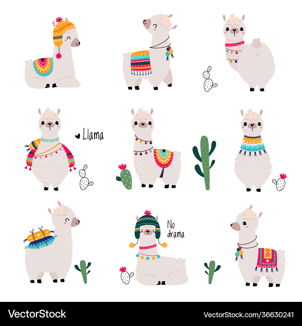 Cute fluffy llama or alpaca camelid pack animal Vector Image