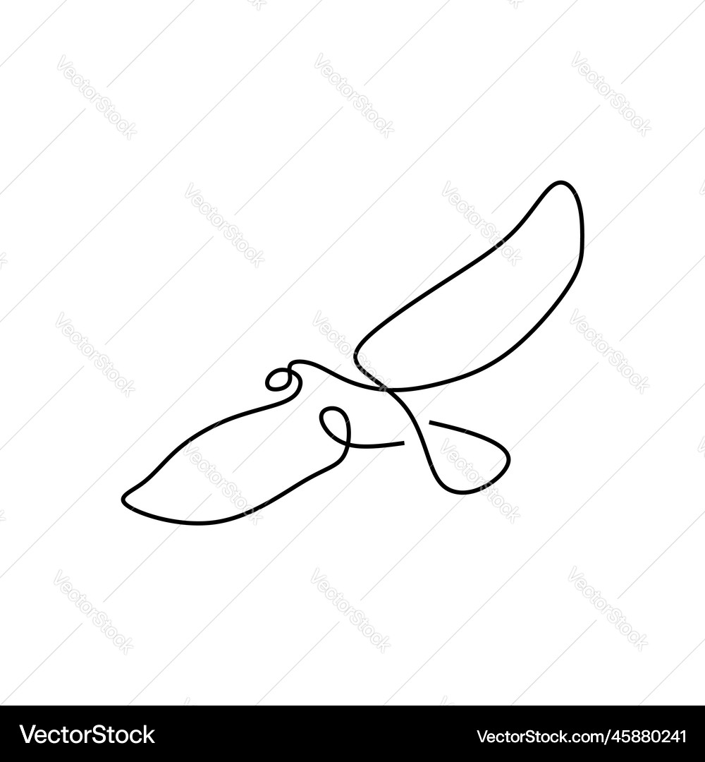 Flying bird one line drawing minimalism style Vector Image