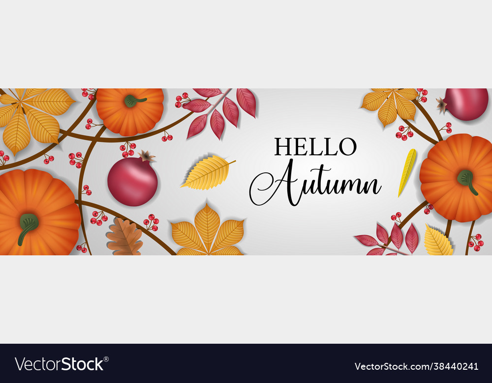 Hello autumn banner with leaves and pumpkins Vector Image
