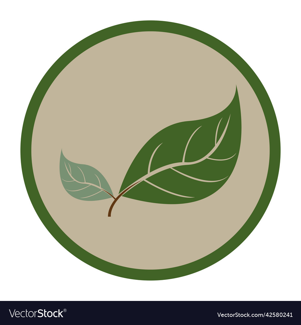 Leaf logo Royalty Free Vector Image - VectorStock