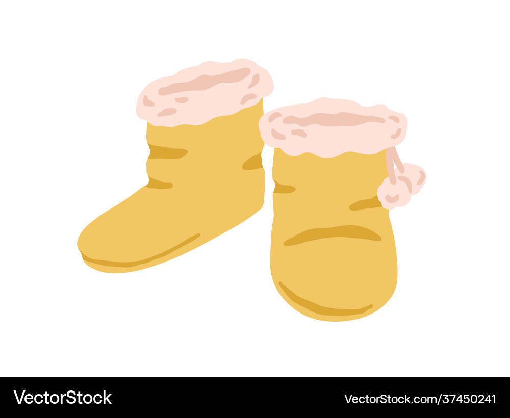 Pair closed winter slipper boots with fur line Vector Image
