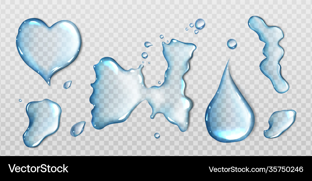 Water spills isolated on transparent background Vector Image