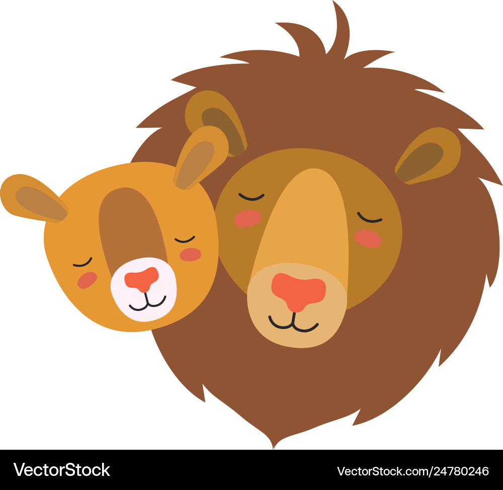 Wild lions couple heads Royalty Free Vector Image