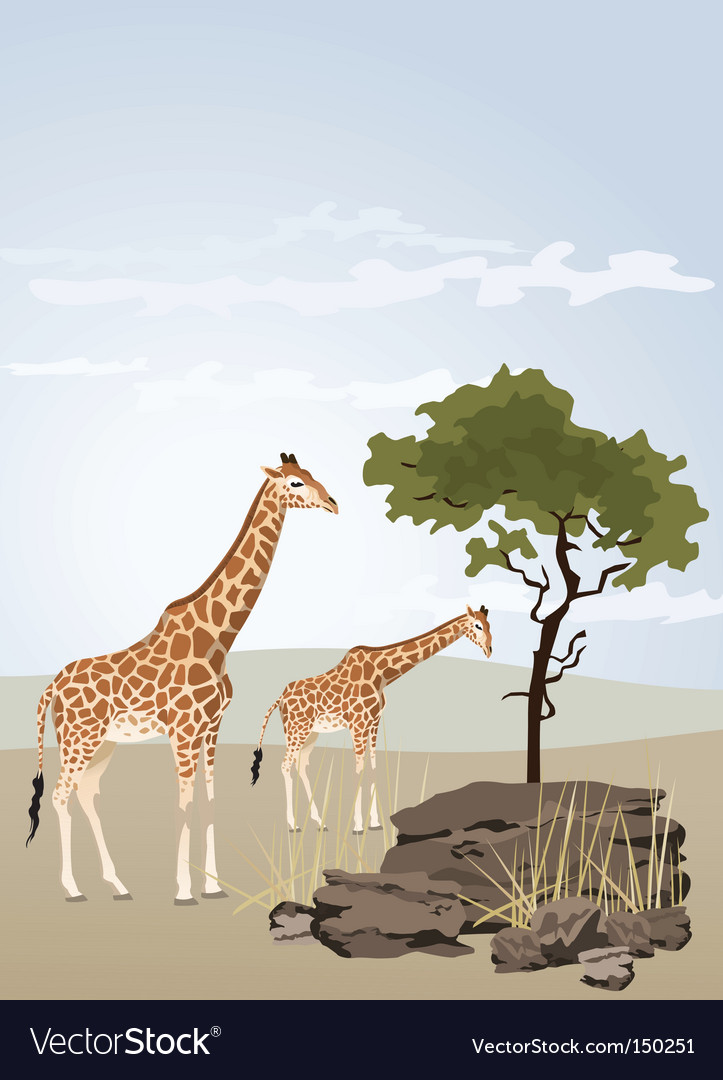 Giraffe Royalty Free Vector Image - VectorStock