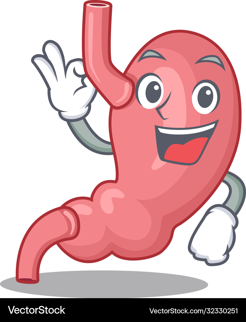 Human stomatch mascot design style with an okay Vector Image