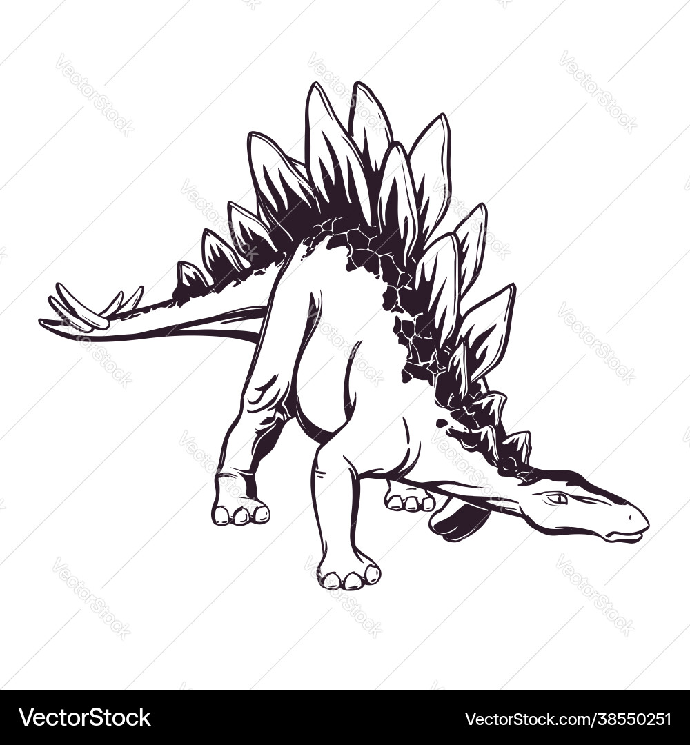 Isolated on white drawing a stegosaurus Royalty Free Vector