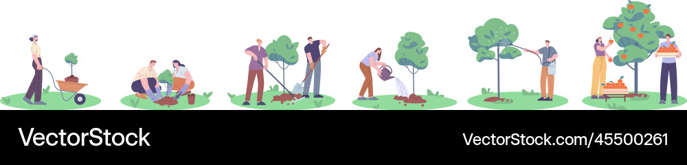 People planting and growth tree garden Royalty Free Vector