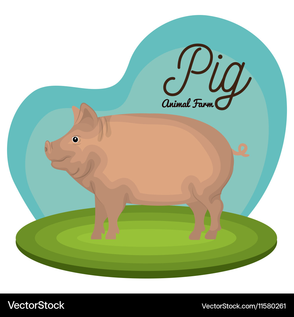 Pig animal farm icon Royalty Free Vector Image