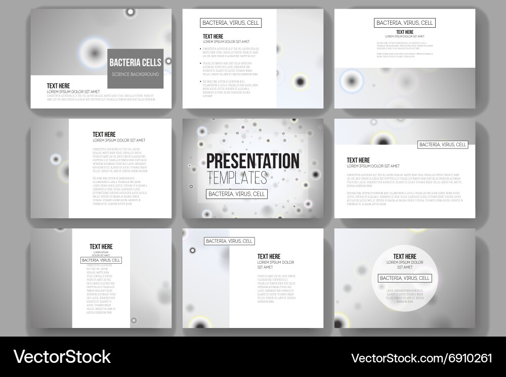 Set of 9 templates for presentation slides Vector Image