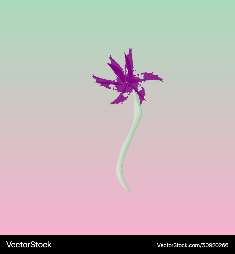 Abstract colorful pink flowers background Vector Image