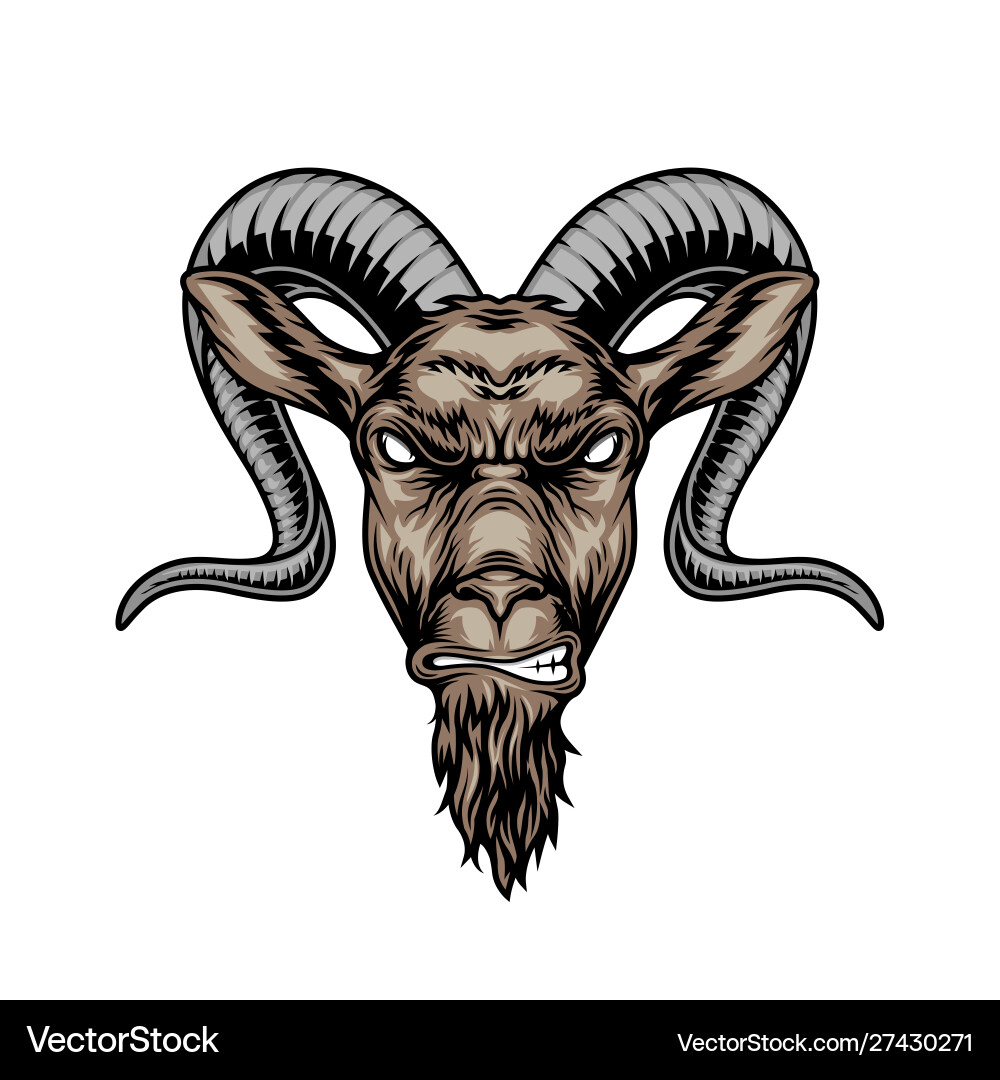 Colorful angry horned goat head Royalty Free Vector Image