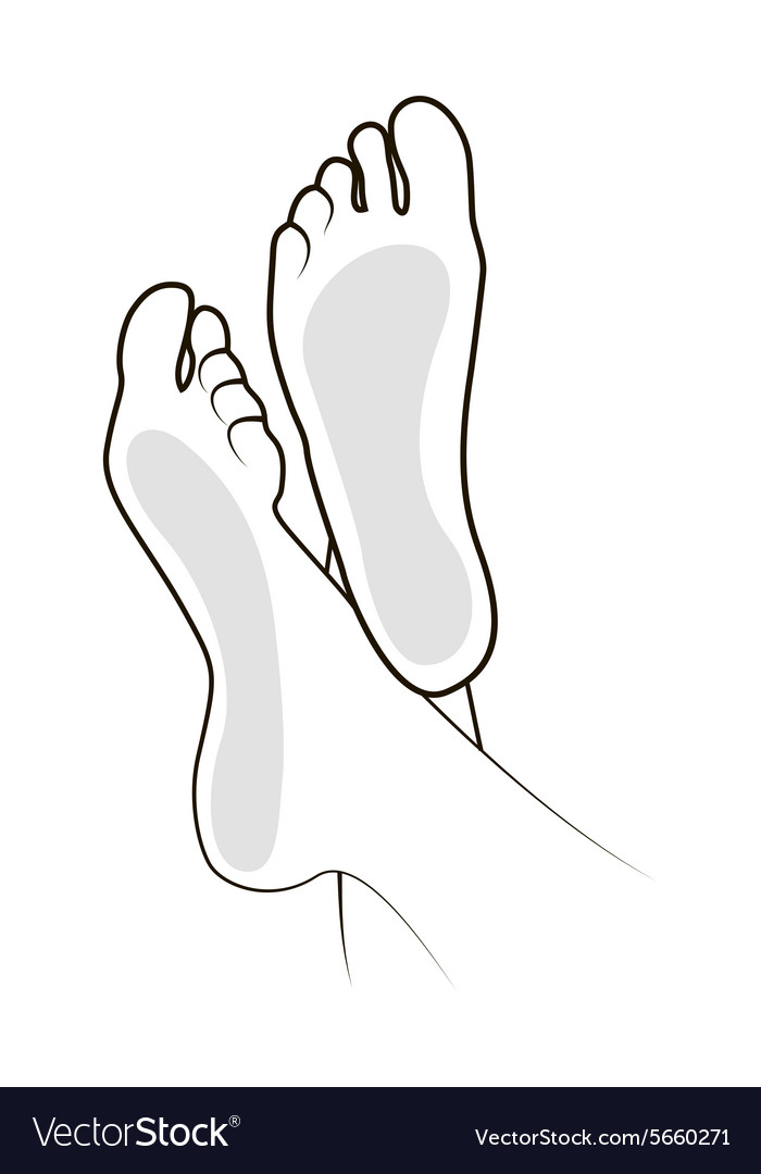 Foot Royalty Free Vector Image - VectorStock