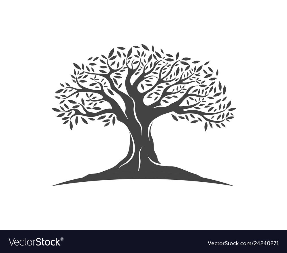 Olive tree Royalty Free Vector Image - VectorStock