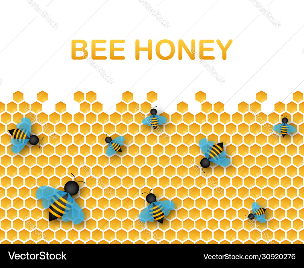 Hexagon natural honey struct bee honeycomb Vector Image