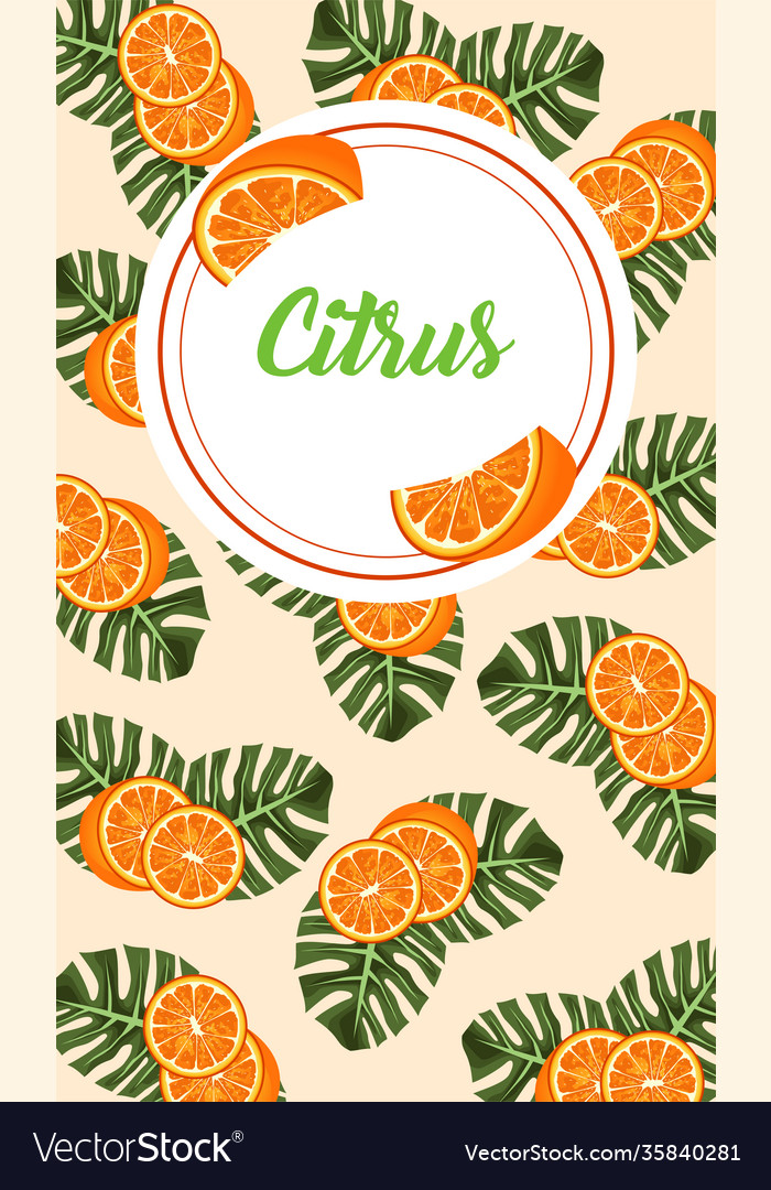 Citrus fruit poster with oranges and leafs Vector Image