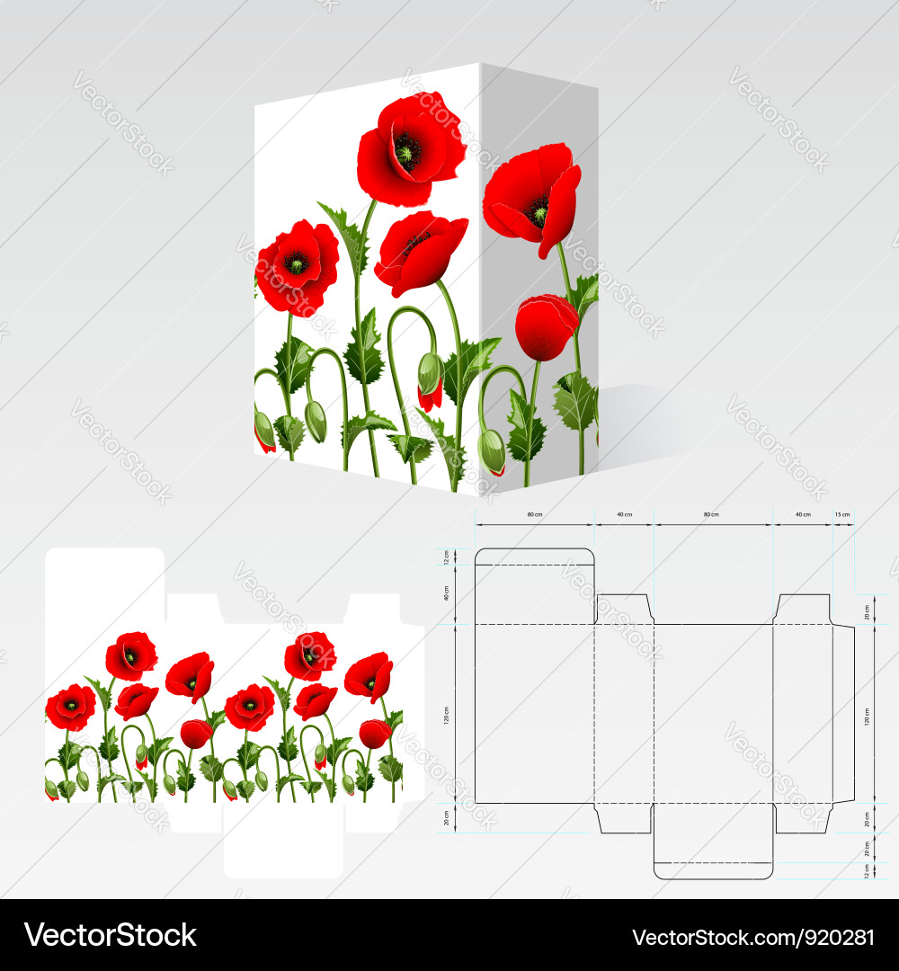 Packaging Royalty Free Vector Image - VectorStock