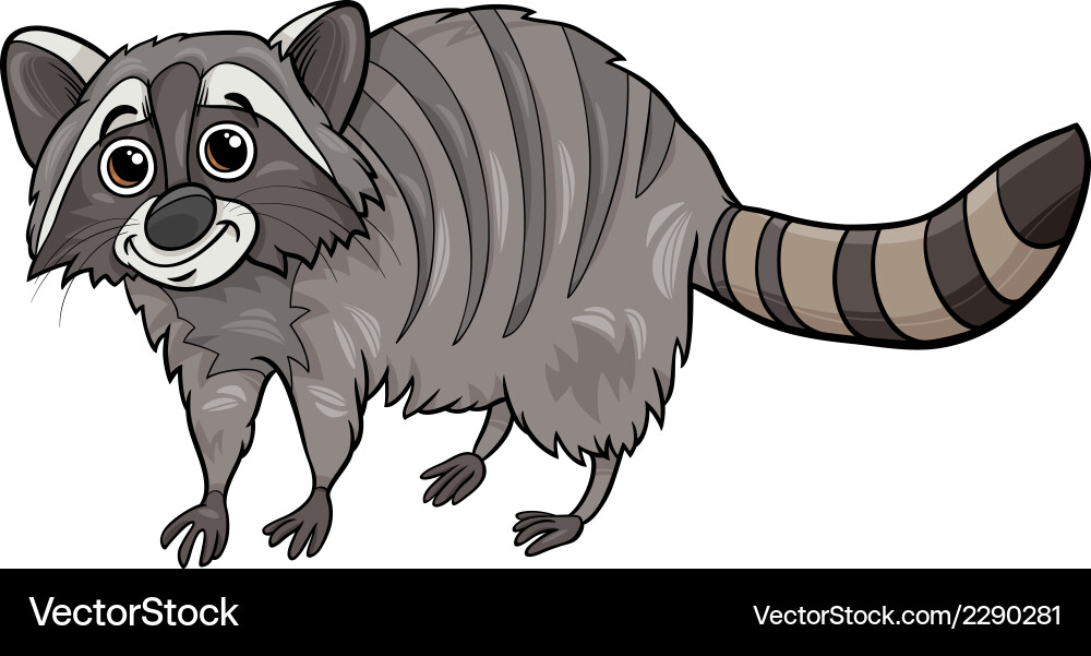 Raccoon animal cartoon Royalty Free Vector Image