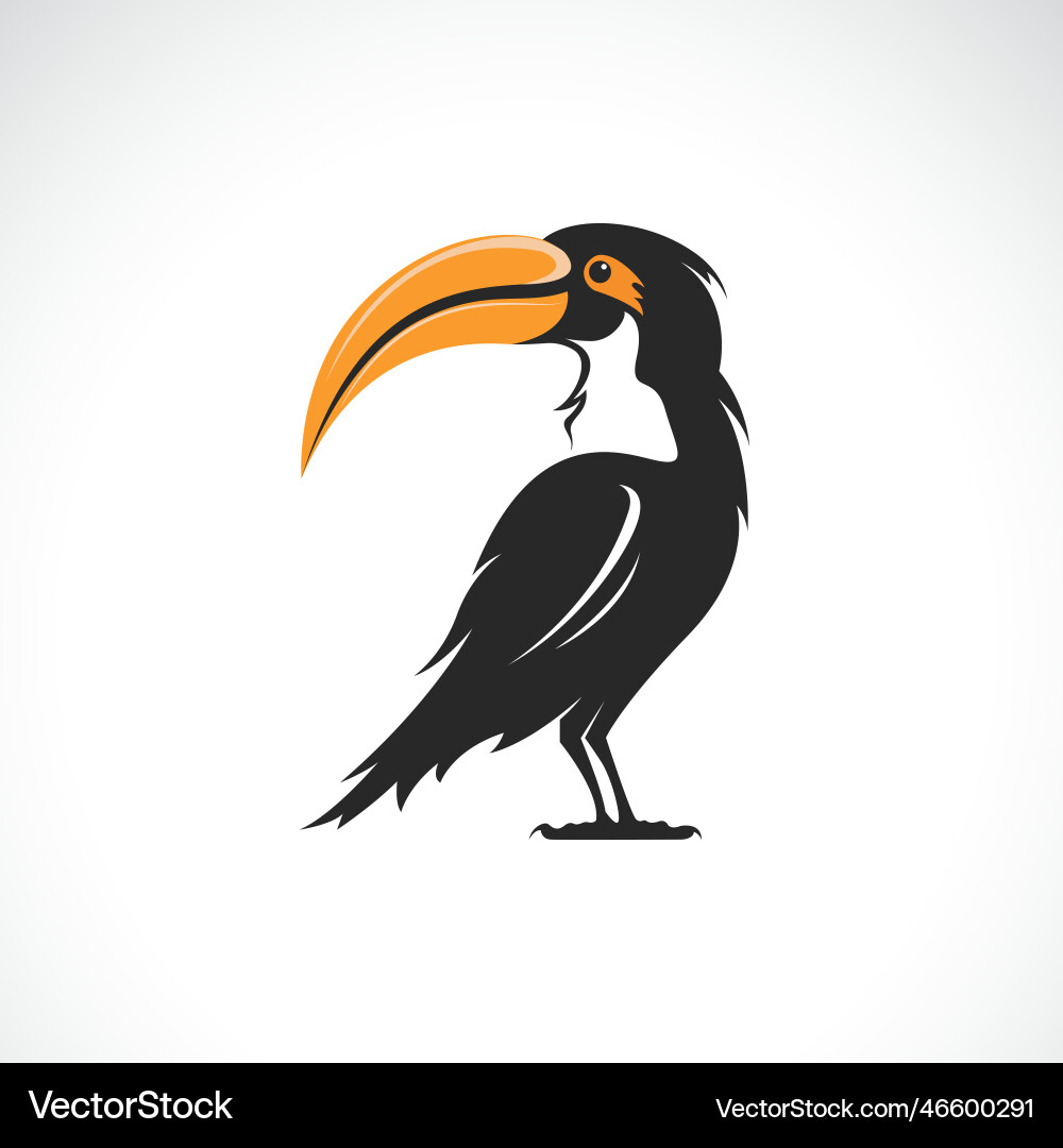 A hornbill design on white background bird wild Vector Image