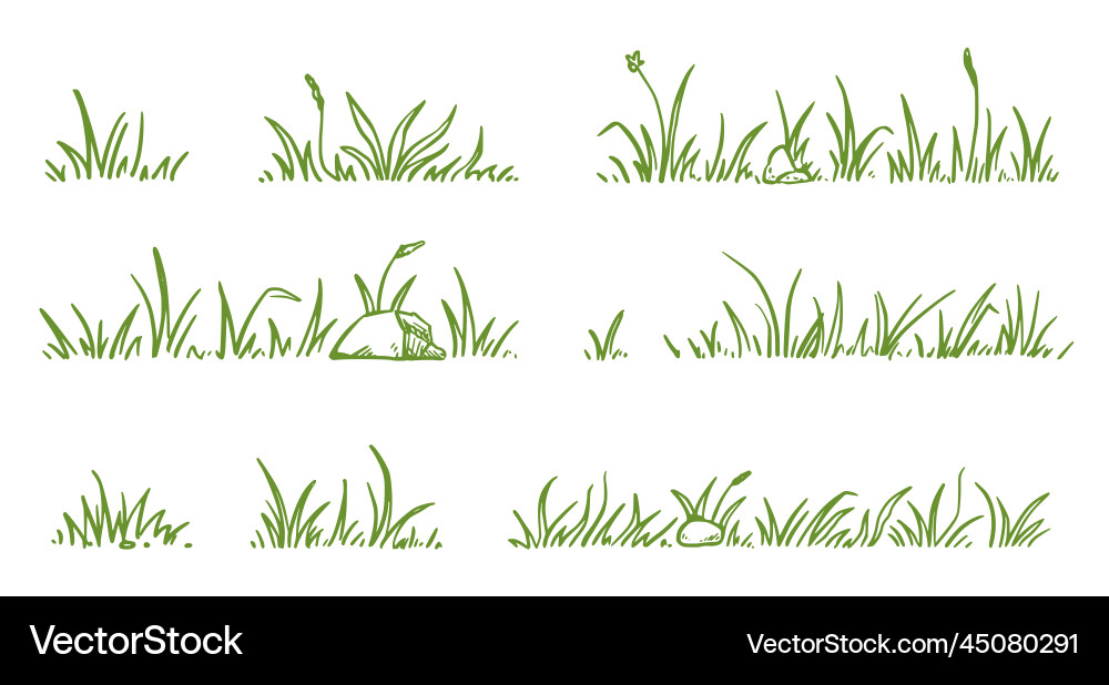 Grass doodle sketch style set hand drawn green Vector Image