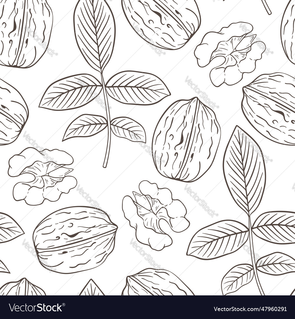 Seamless pattern with walnut Royalty Free Vector Image