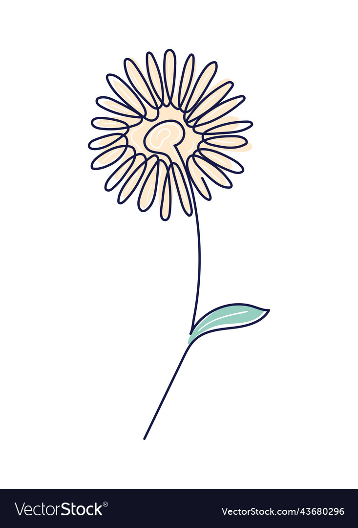 Flower continuous line Royalty Free Vector Image
