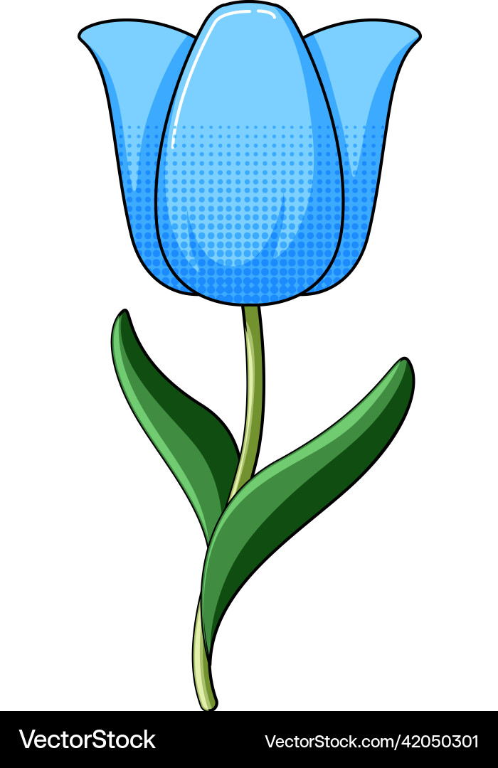 Blue tulip flower with leaves Royalty Free Vector Image