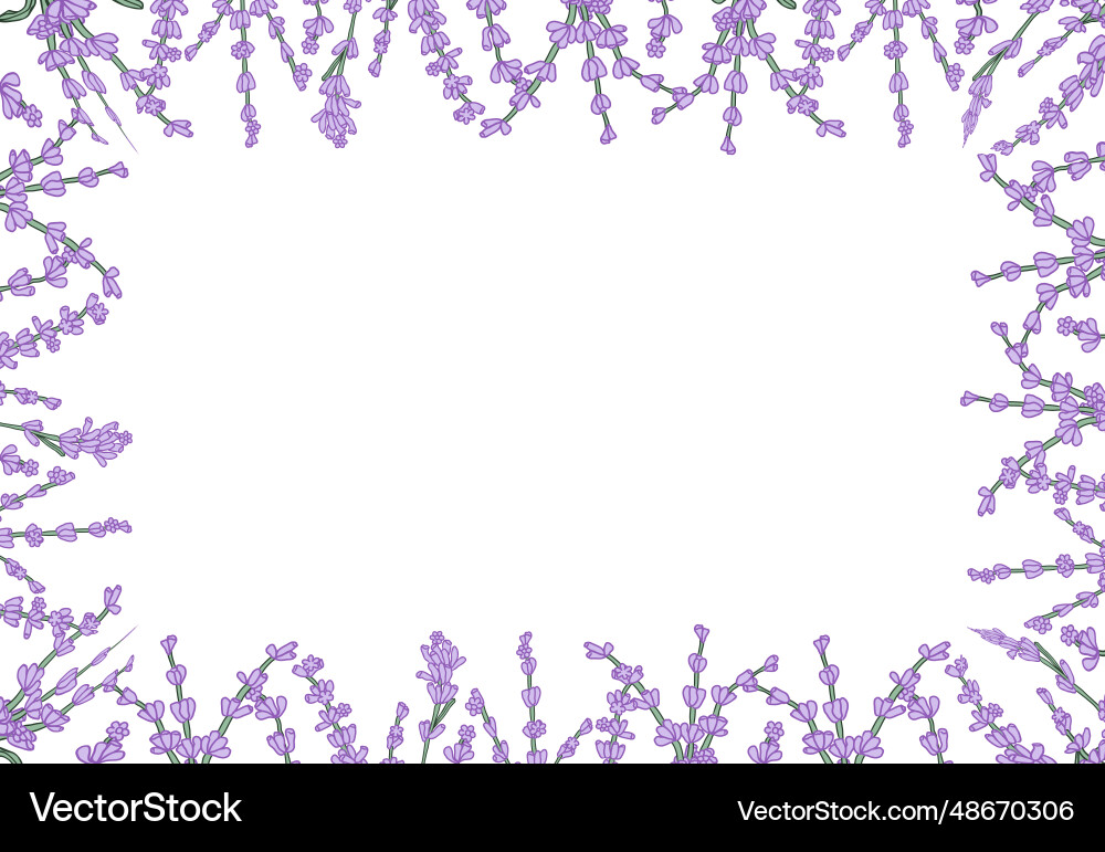 Lavender colorful flower background for card Vector Image