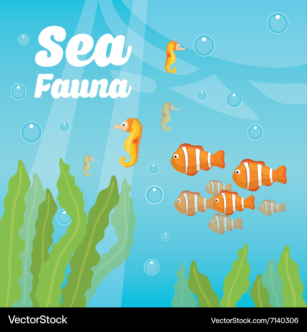 Sea fauna cartoon Royalty Free Vector Image - VectorStock