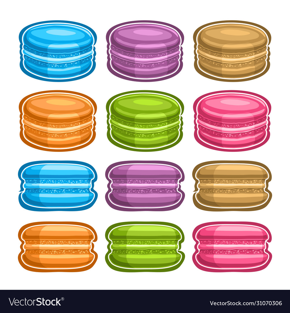 Set assorted macaroons Royalty Free Vector Image