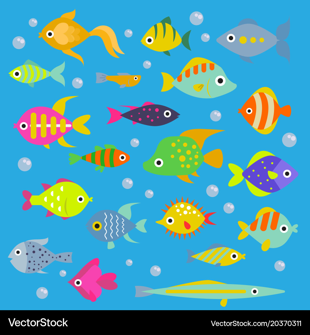 Know Your Flatfish Species With Our Identification Guide