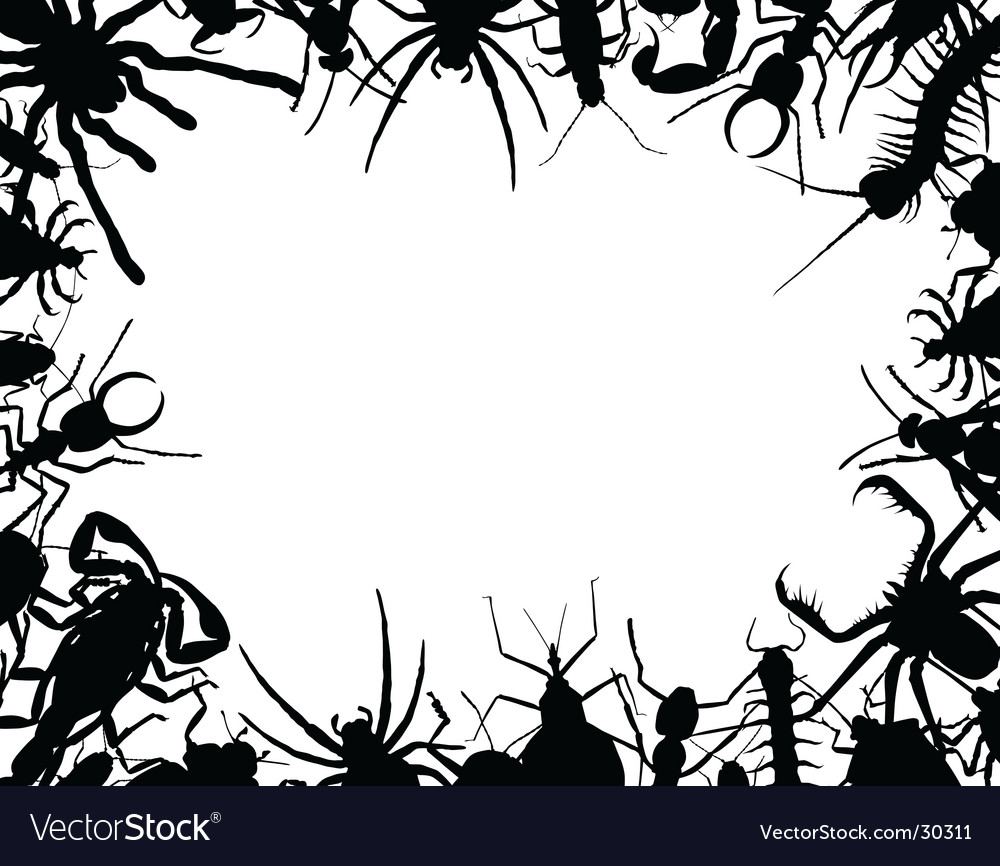 Bug frame Royalty Free Vector Image - VectorStock