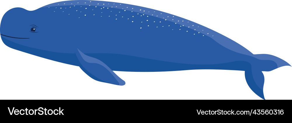 Beluga whale design Royalty Free Vector Image - VectorStock
