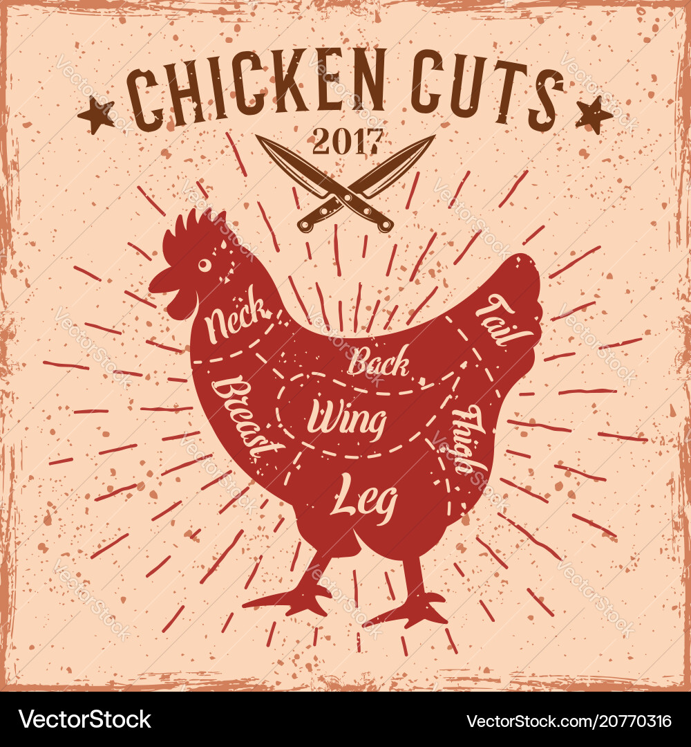 Chicken cuts retro scheme for butcher shop Vector Image