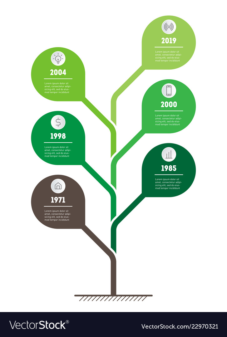 Infographic technology or education process Vector Image