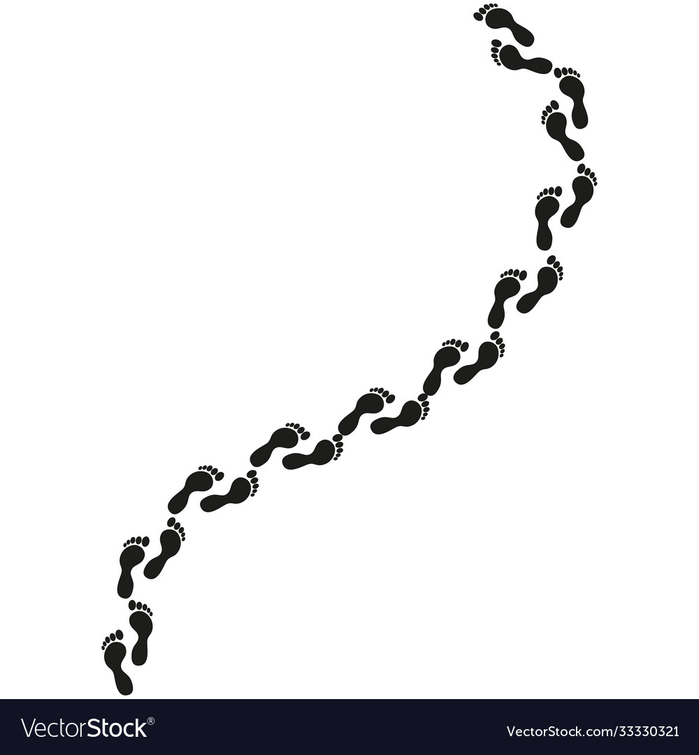 Path human footprints Royalty Free Vector Image