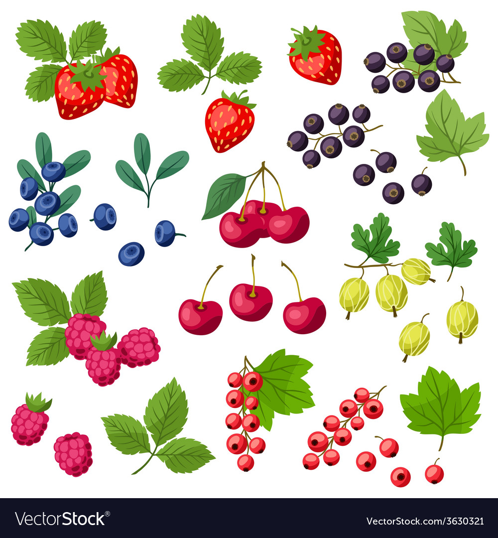 Set of various stylized fresh berries Royalty Free Vector