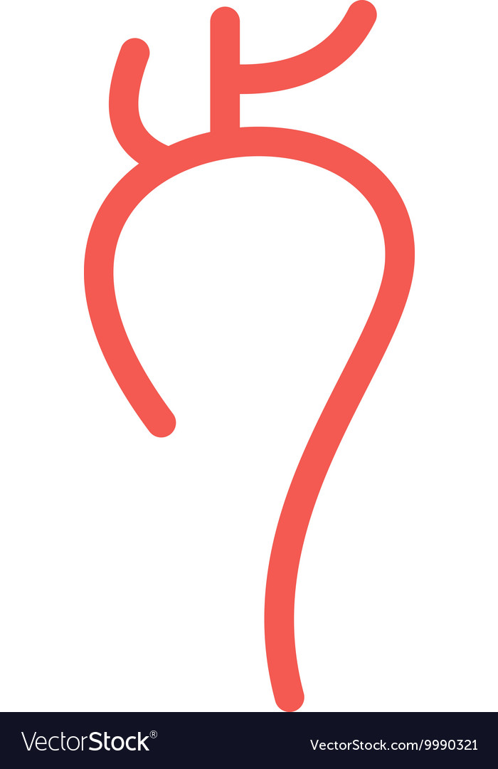 Vascular Royalty Free Vector Image - VectorStock