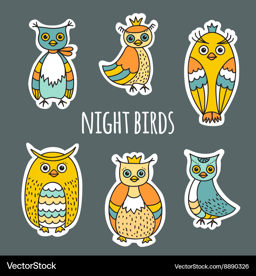 A set of night birds Royalty Free Vector Image