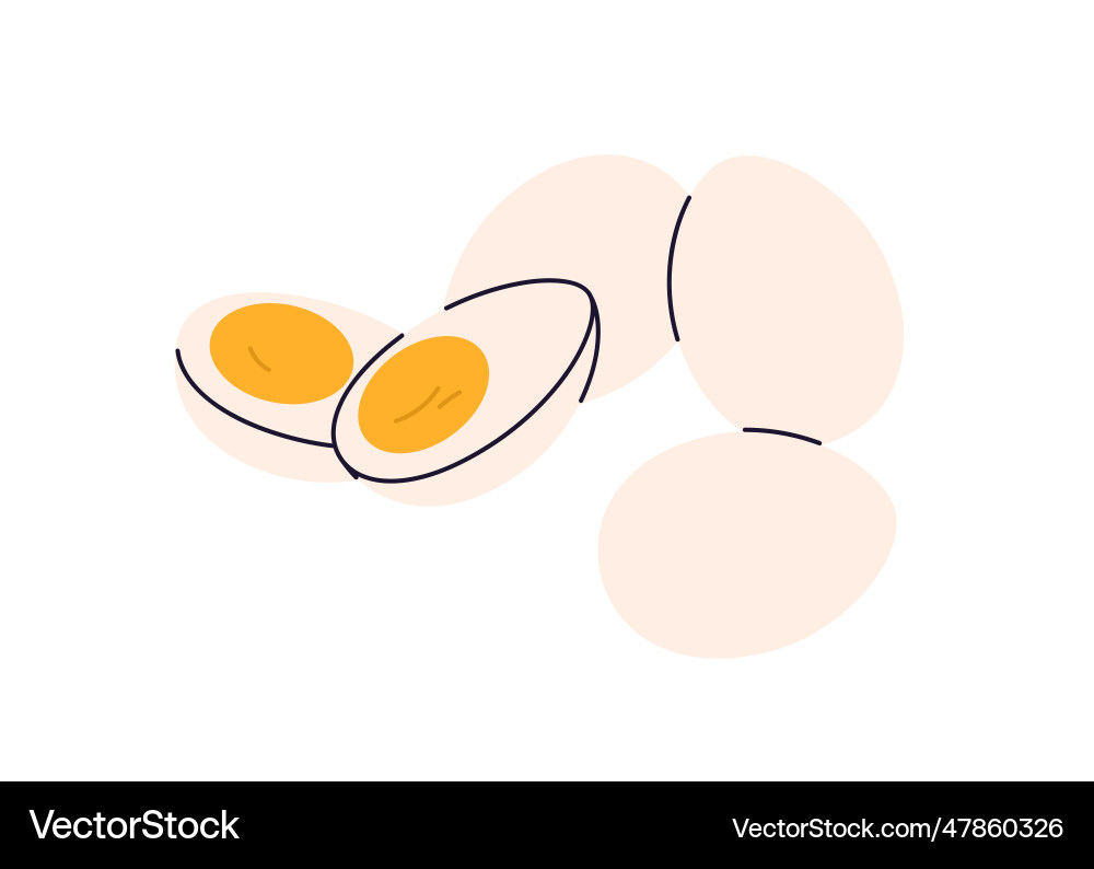 Boiled cooked chicken eggs whole peeled and cut Vector Image