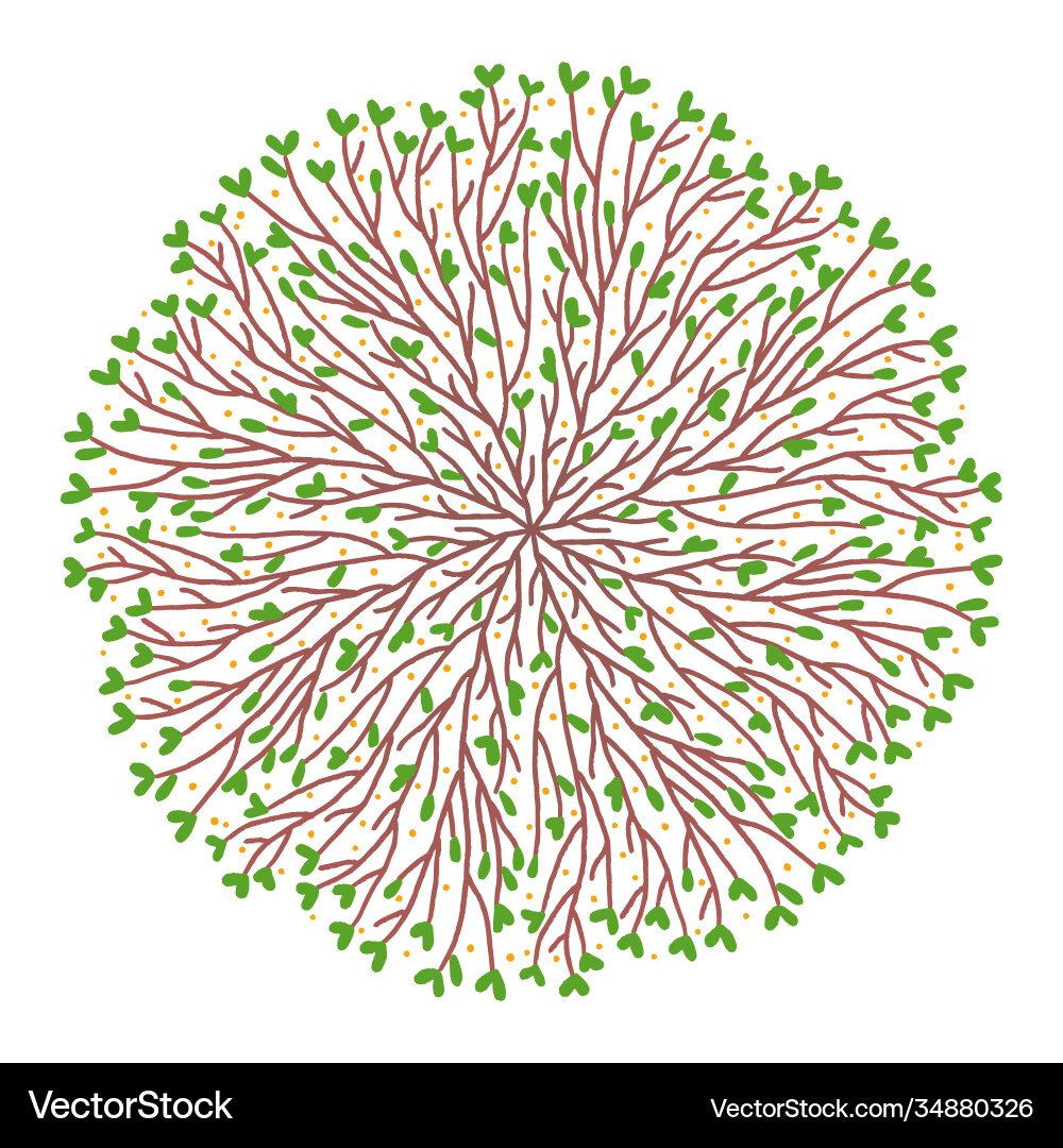 Colorful round mandala with tree brunces and Vector Image
