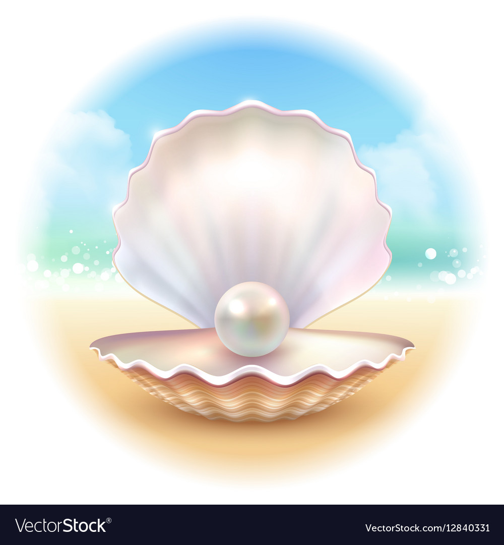 Realistic shell round composition Royalty Free Vector Image