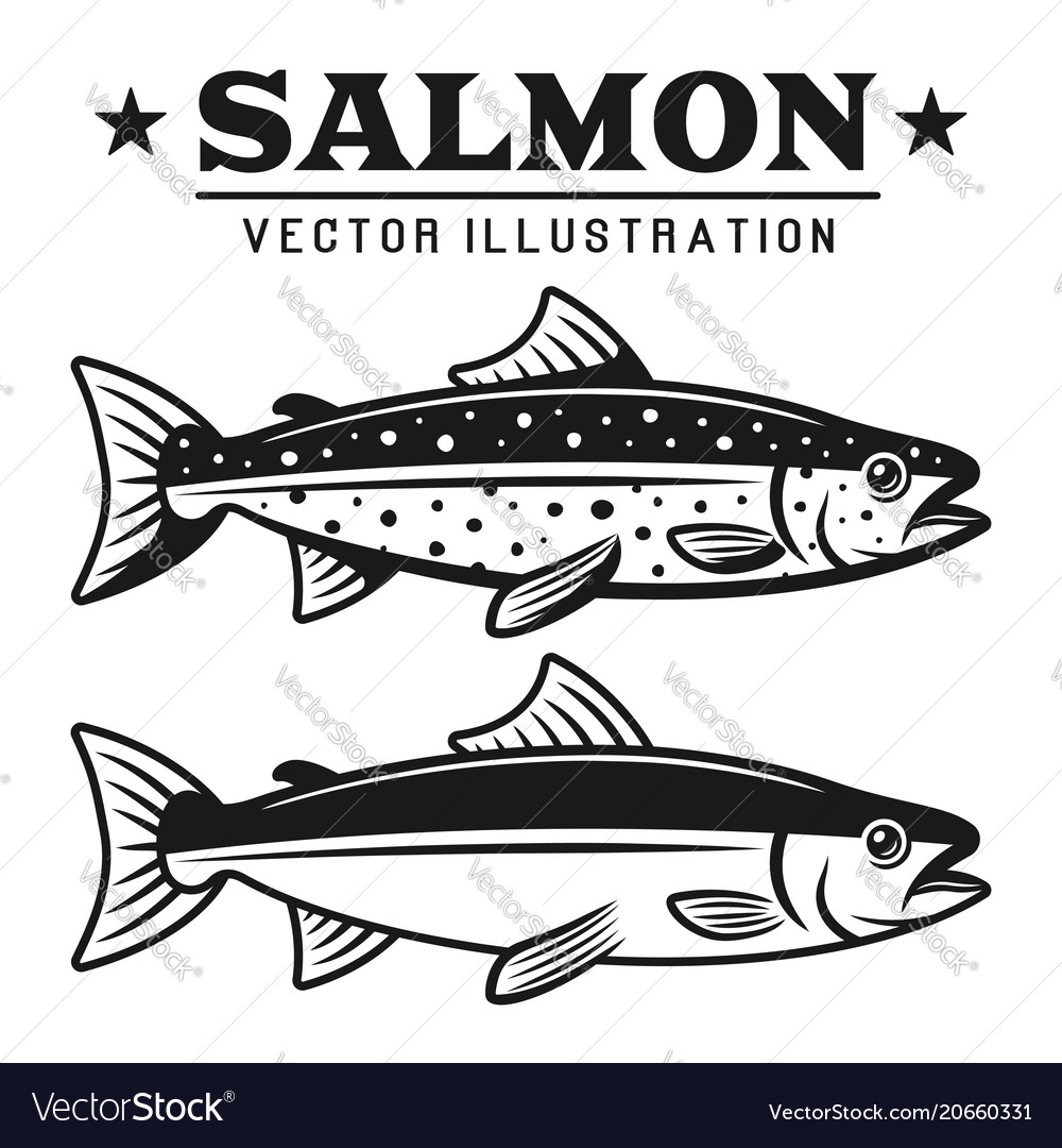 Salmon fish set two styles elements Royalty Free Vector
