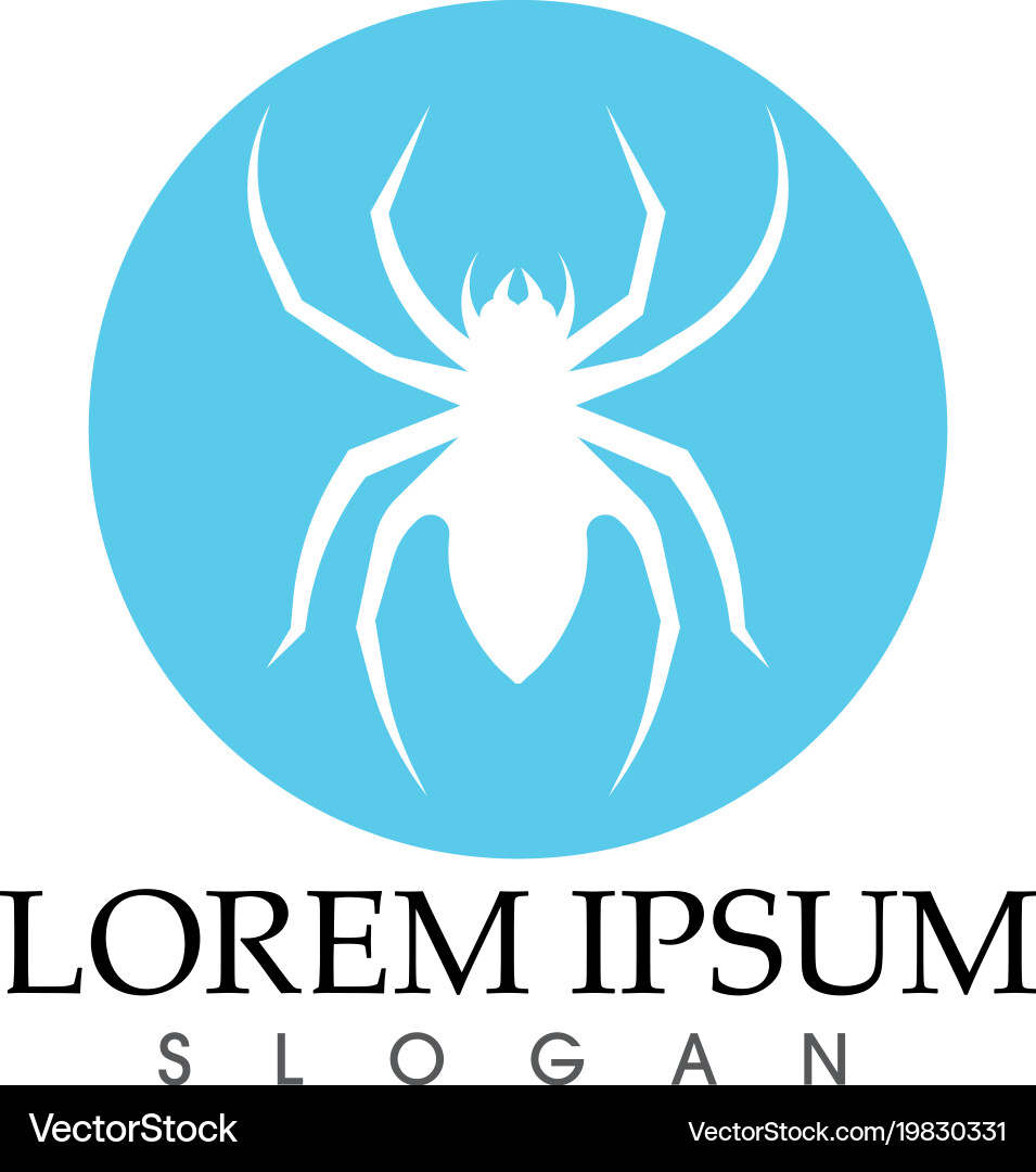 Spider logo and symbols template icons app Vector Image