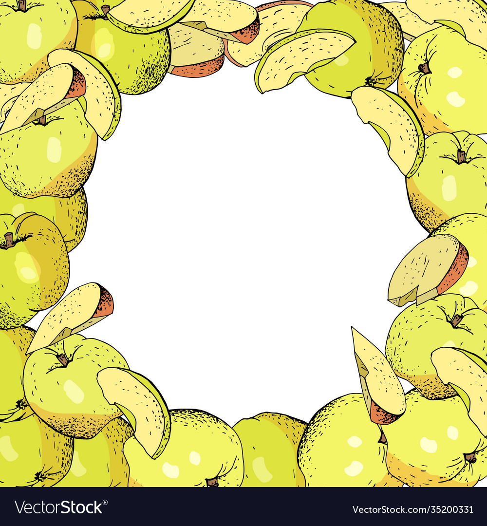 Square template with apples apple slices on white Vector Image