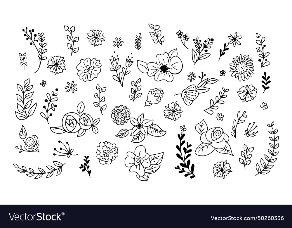 Contour hand drawn doodle set of spring flowers Vector Image