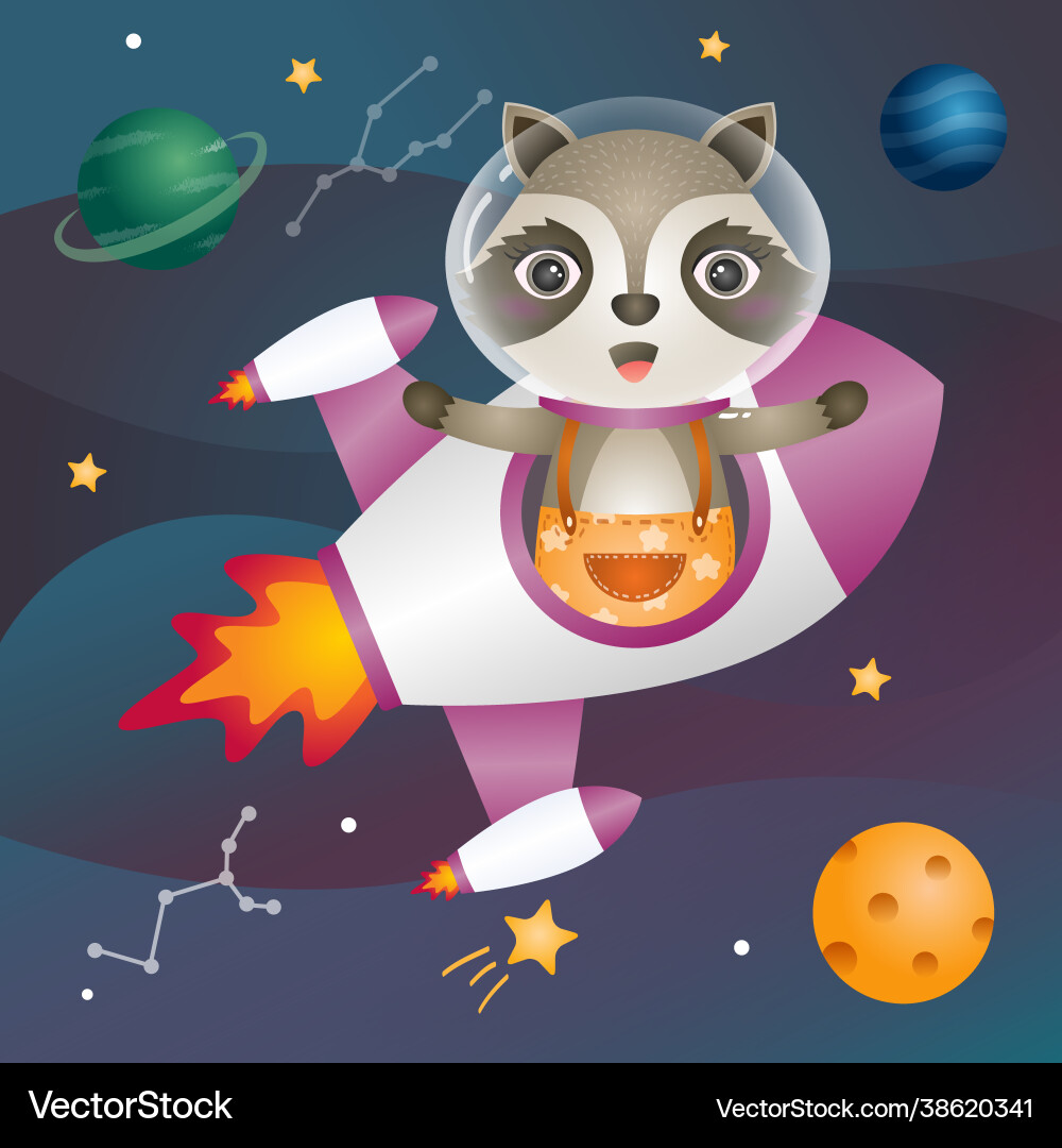 A cute raccoon in space galaxy Royalty Free Vector Image