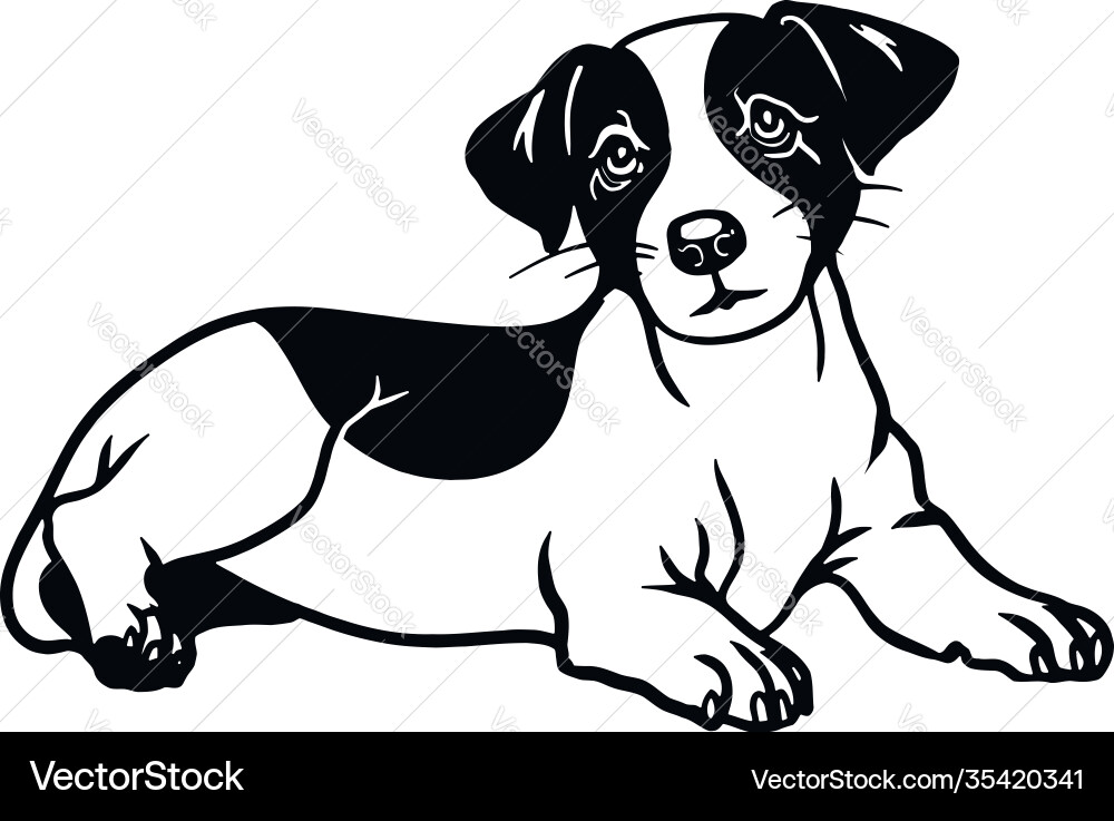 Jack Russell Terrier Dog Isolated Royalty Free Vector
